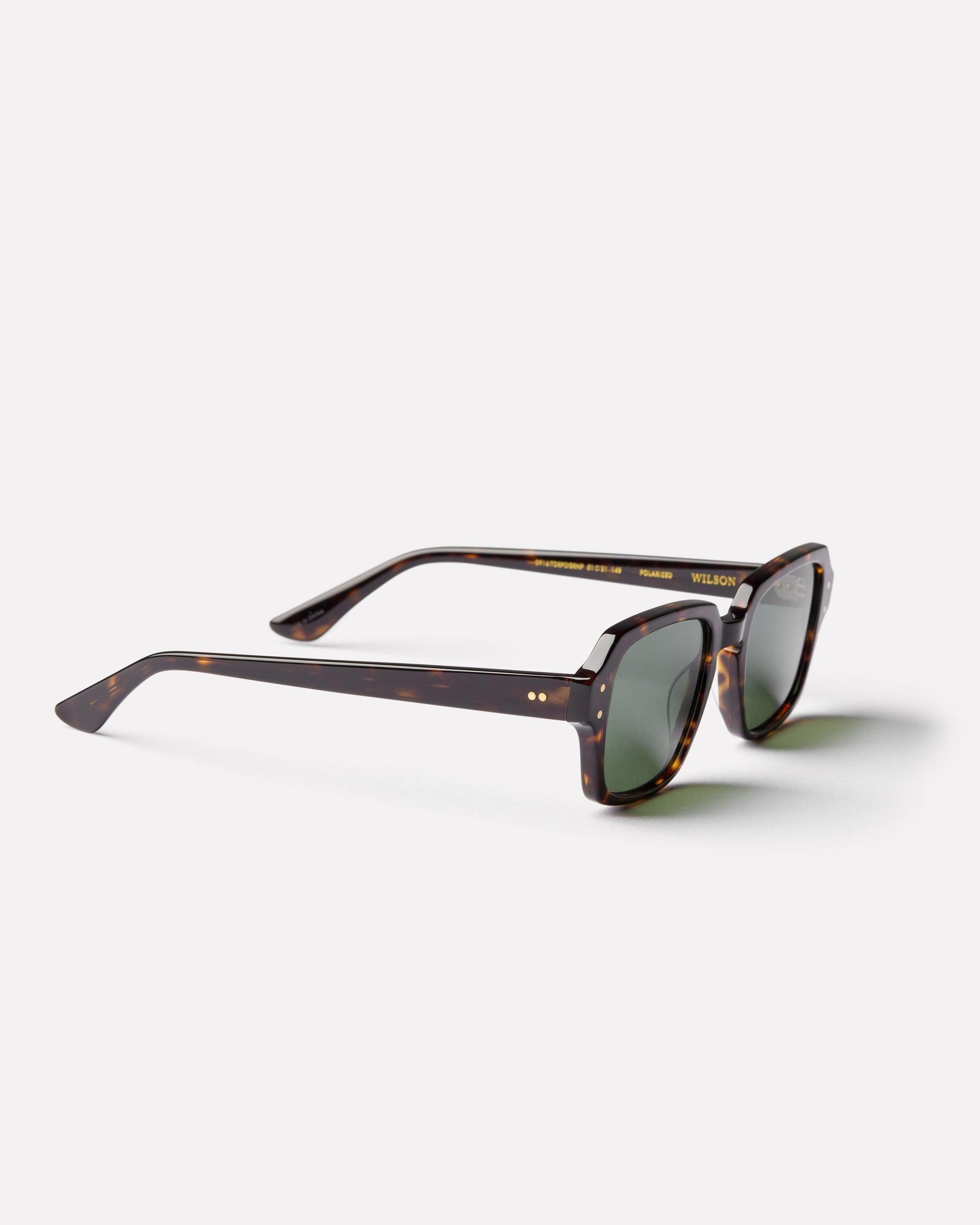 Wilson - Tortoise Polished / Green Polarized – EPOKHE EYEWEAR