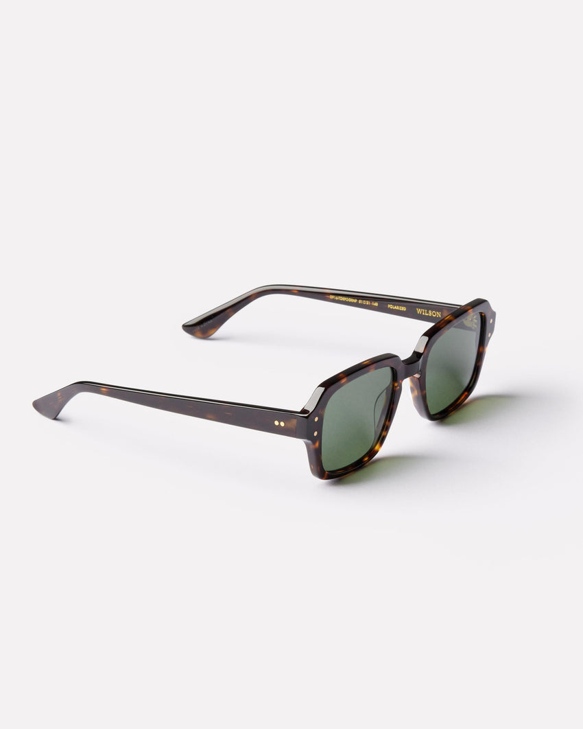 Wilson - Tortoise Polished / Green Polarized – EPOKHE EYEWEAR